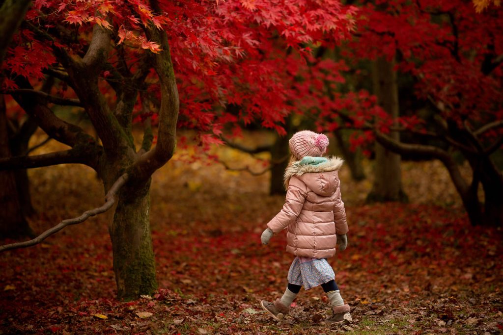 Colourful Autumn Photo Shoot For Families in Bristol and Bath