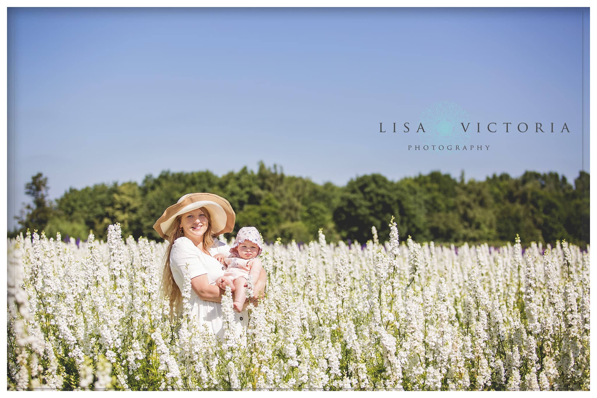 Confetti Flower Field Photography